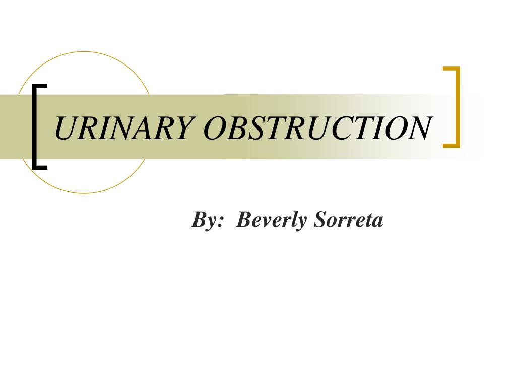 PPT - Urinary Obstruction: Causes, Symptoms, and Management PowerPoint ...