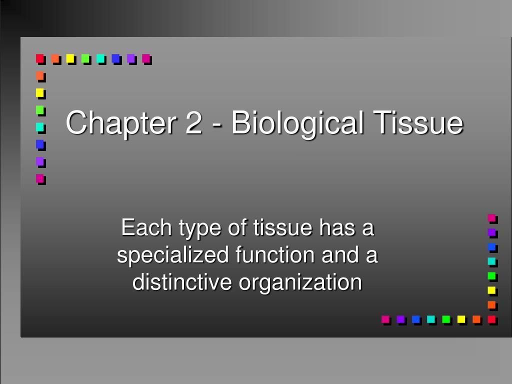 PPT - Chapter 2 - Biological Tissue PowerPoint Presentation, free ...