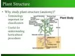 PPT - Plant Anatomy PowerPoint Presentation, free download - ID:9612683