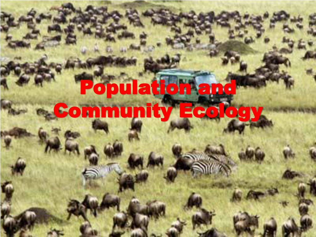PPT - Population and Community Ecology PowerPoint Presentation, free ...