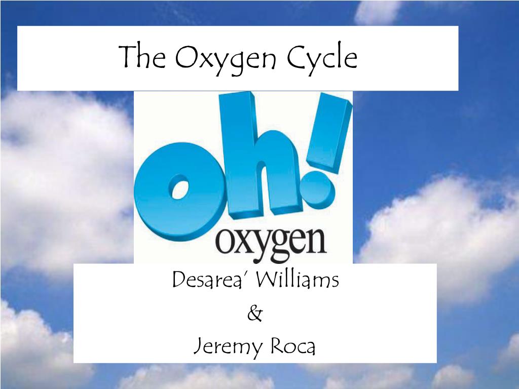 PPT - The Oxygen Cycle PowerPoint Presentation, free download - ID:728567