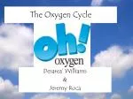 PPT - The Oxygen Cycle PowerPoint Presentation, free download - ID:5142766