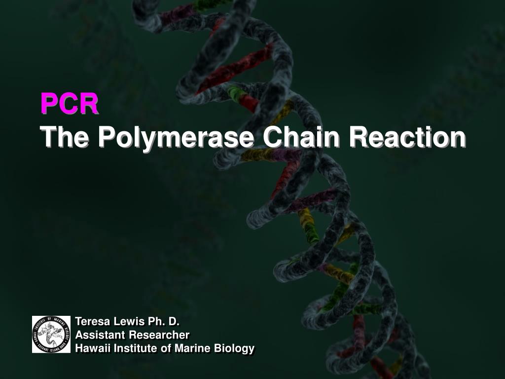 PPT - PCR The Polymerase Chain Reaction PowerPoint Presentation, free ...