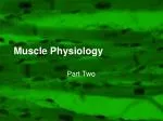 PPT - Smooth Muscle Physiology PowerPoint Presentation, free download ...