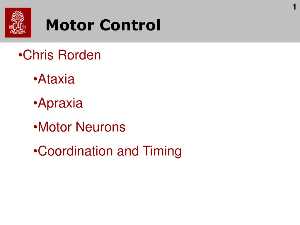 PPT - Motor Control PowerPoint Presentation, free download - ID:730343