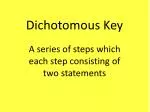 PPT - Dichotomous Key of Dogs PowerPoint Presentation, free download ...