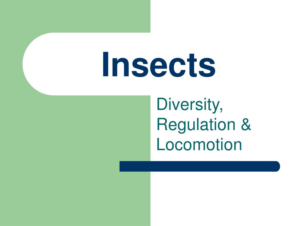 PPT - Insects PowerPoint Presentation, free download - ID:733326