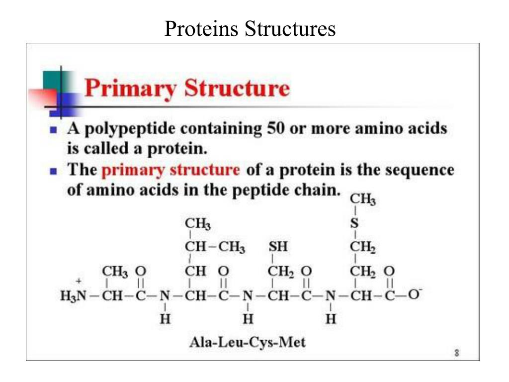 PPT - Proteins Structures PowerPoint Presentation, free download - ID ...