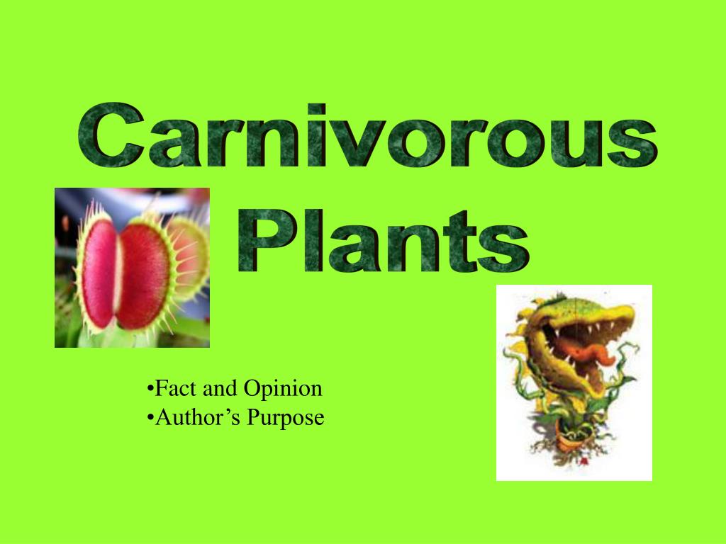 PPT - Carnivorous Plants PowerPoint Presentation, free download - ID:735244