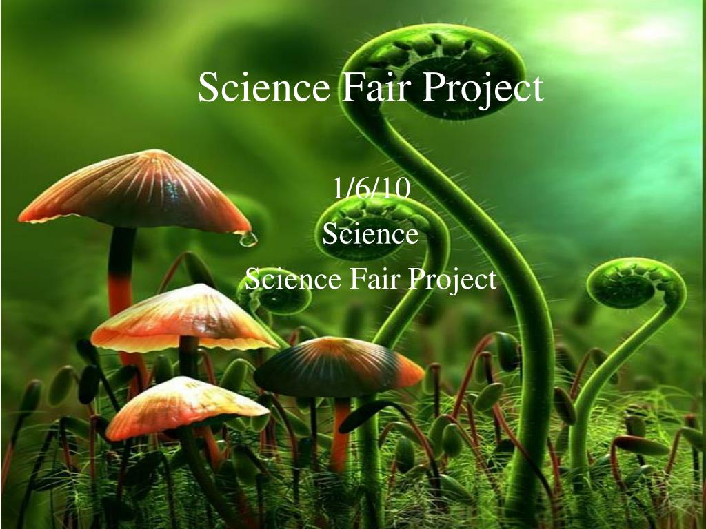 PPT - Science Fair Project PowerPoint Presentation, free download - ID ...
