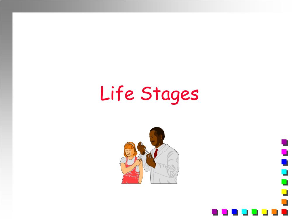 PPT - Life Stages PowerPoint Presentation, free download - ID:735968