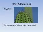 PPT - Plant Adaptations PowerPoint Presentation, free download - ID:6899917