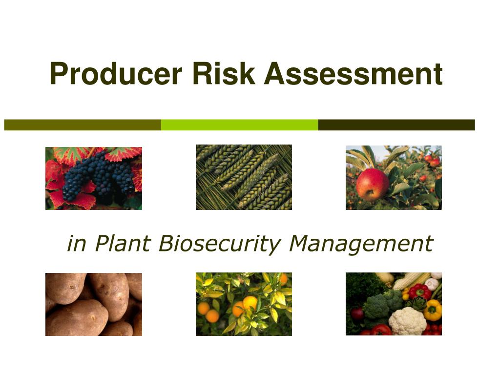 PPT - Producer Risk Assessment PowerPoint Presentation, free download ...