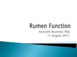 PPT - Rumen Motility PowerPoint Presentation, free download - ID:150488
