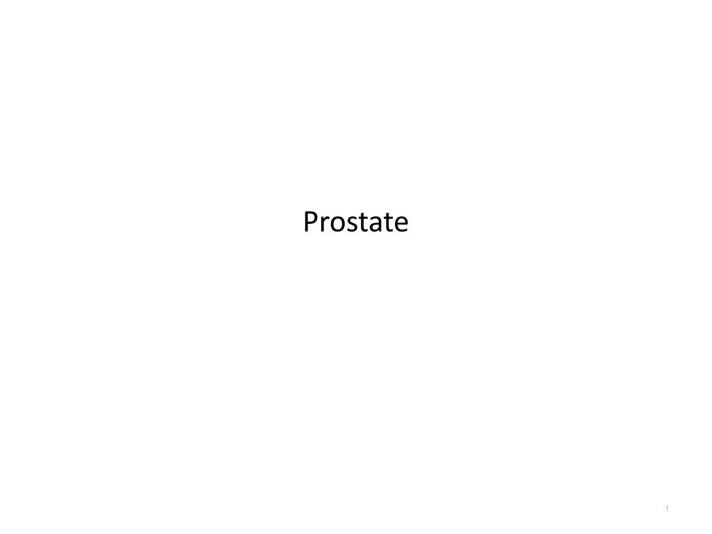 PPT - Prostate PowerPoint Presentation, free download - ID:738089