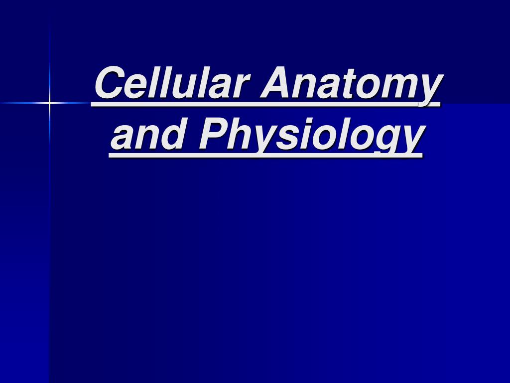 PPT - Cellular Anatomy and Physiology PowerPoint Presentation, free ...