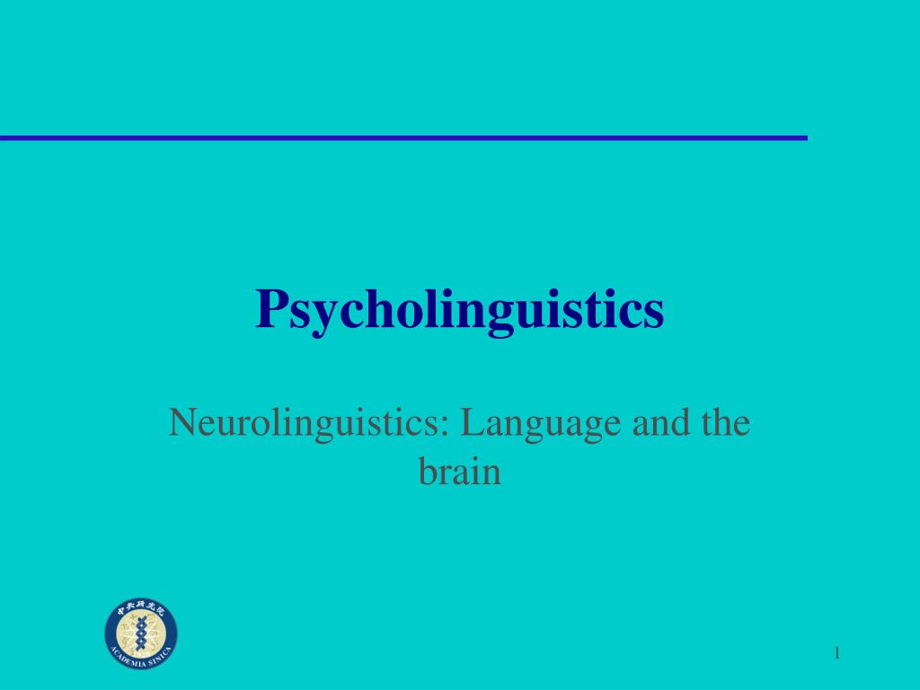 PPT - Psycholinguistics PowerPoint Presentation, free download - ID:739544