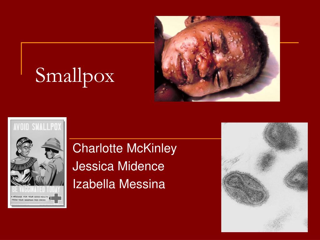 PPT - Smallpox PowerPoint Presentation, free download - ID:74068