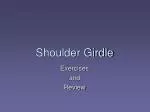 PPT - Anatomy of the Shoulder Girdle PowerPoint Presentation, free ...