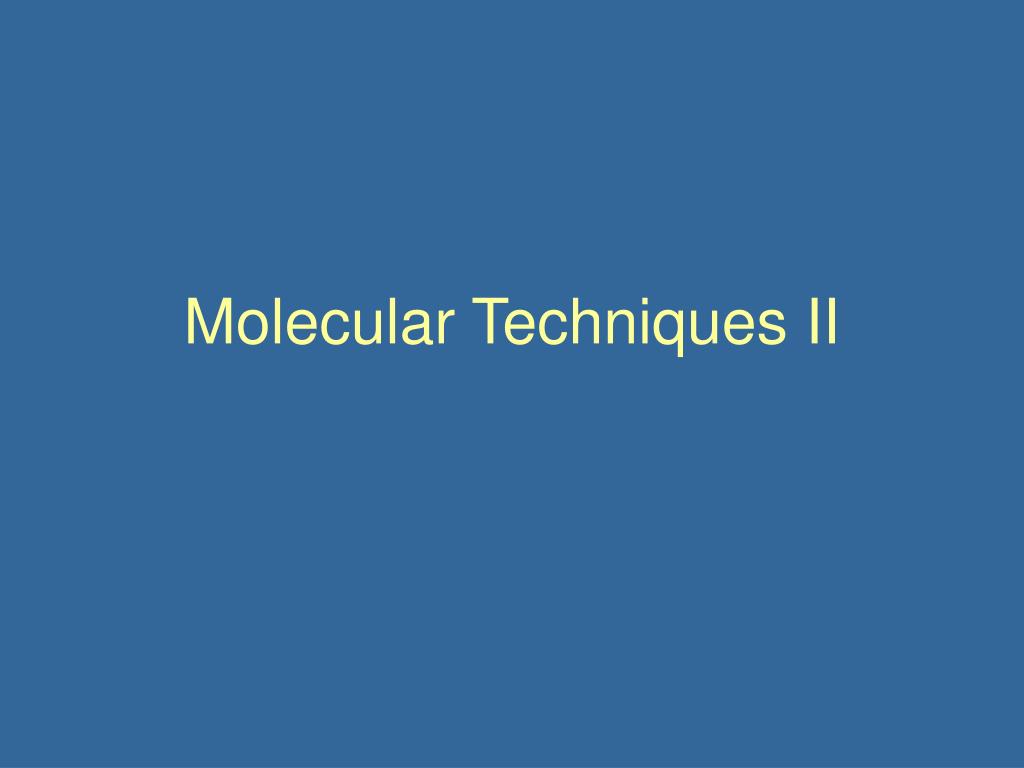 PPT - Molecular Techniques II PowerPoint Presentation, free download ...