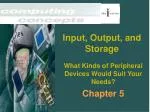 PPT - Lesson 5 Input, Output, and Storage PowerPoint Presentation, free ...