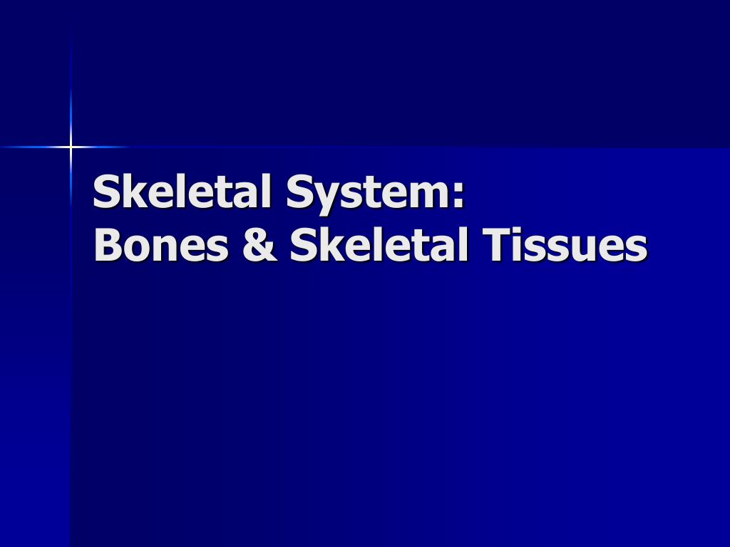 PPT - Skeletal System: Bones & Skeletal Tissues PowerPoint Presentation ...