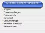 PPT - Functions of the Skeletal System PowerPoint Presentation, free ...