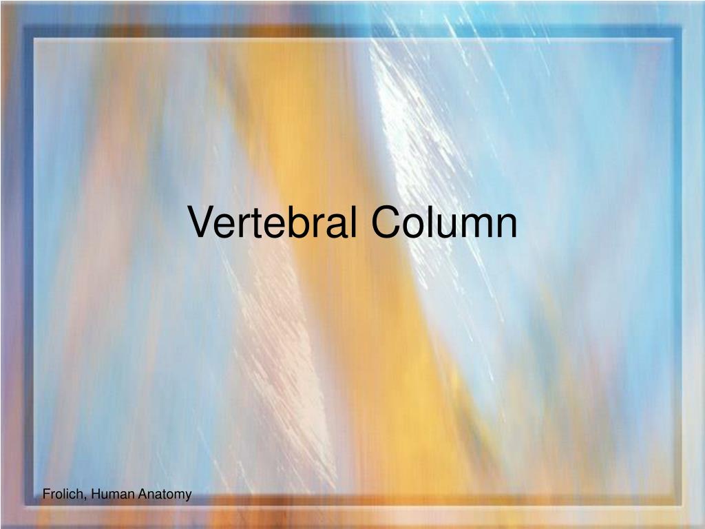 PPT - Vertebral Column PowerPoint Presentation, free download - ID:760245