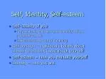 PPT - Self-pity PowerPoint Presentation, free download - ID:1024217