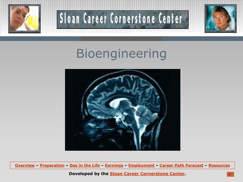 PPT - Bioengineering PowerPoint Presentation, free download - ID:76247