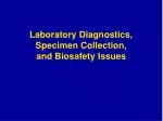 PPT - Chapter 15 Specimen Collection And Laboratory Procedures ...