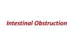 PPT - Obstruction PowerPoint Presentation, free download - ID:664786