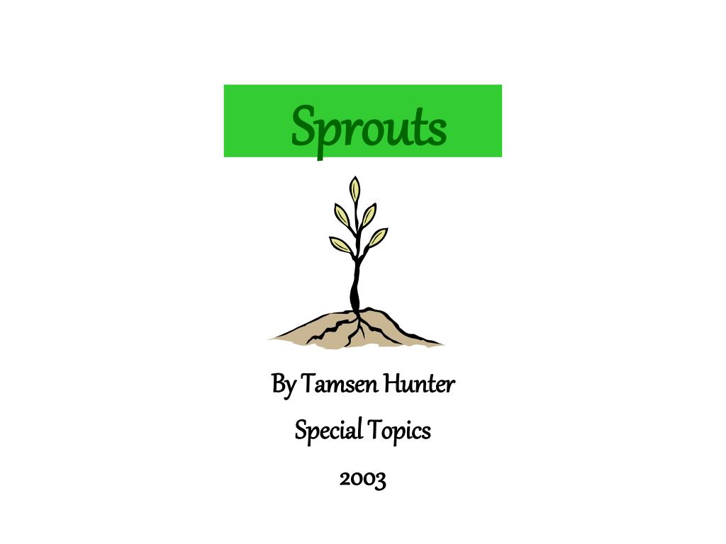 PPT - Sprouts PowerPoint Presentation, free download - ID:765112