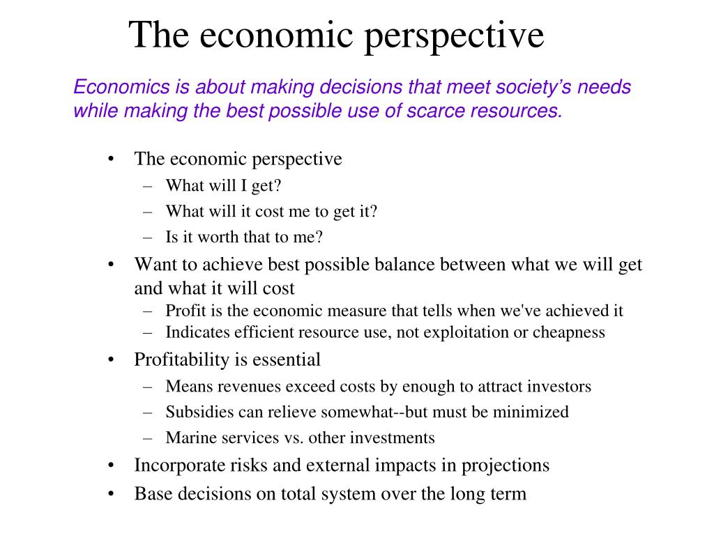 PPT - The economic perspective PowerPoint Presentation, free download ...