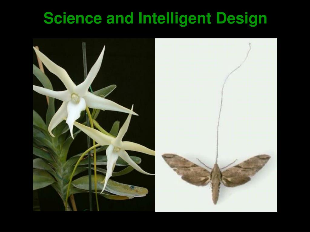 PPT - Science and Intelligent Design PowerPoint Presentation, free ...