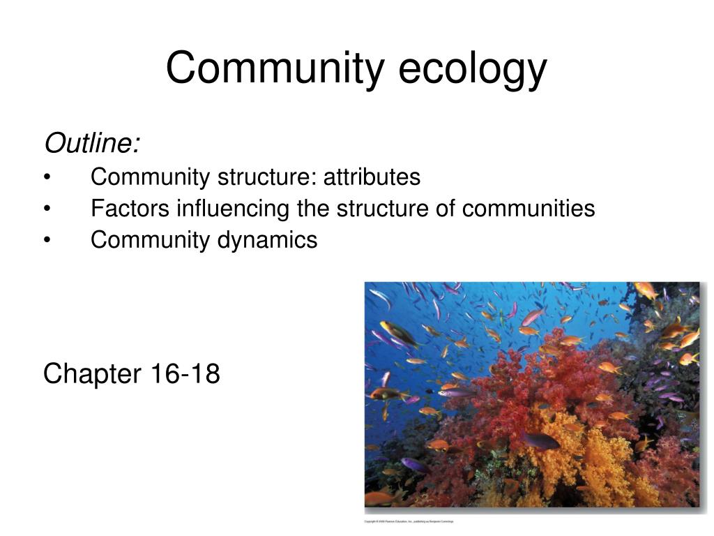 PPT - Community ecology PowerPoint Presentation, free download - ID:766156