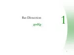 PPT - Rat Dissection PowerPoint Presentation, free download - ID:638753