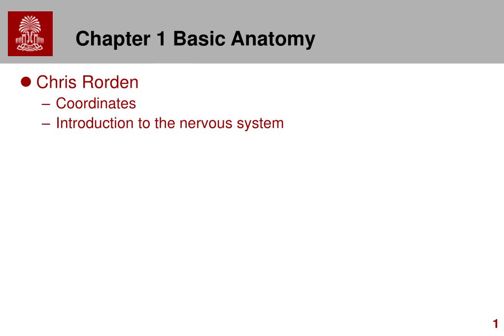 PPT - Chapter 1 Basic Anatomy PowerPoint Presentation, free download ...