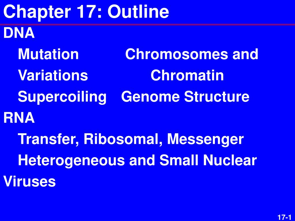 PPT - Chapter 17: Outline PowerPoint Presentation, free download - ID ...