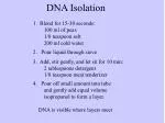 PPT - Plasmid DNA Isolation PowerPoint Presentation, free download - ID ...