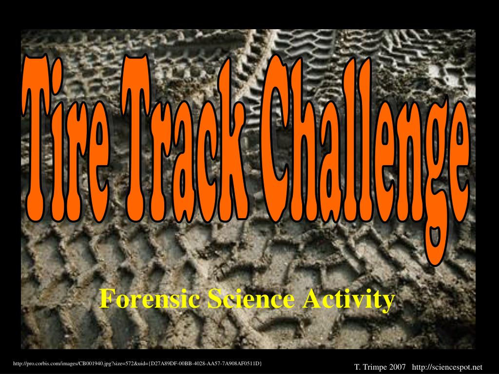 PPT - Forensic Science Activity PowerPoint Presentation, free download ...