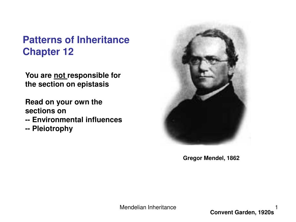 PPT - Gregor Mendel, 1862 PowerPoint Presentation, free download - ID ...