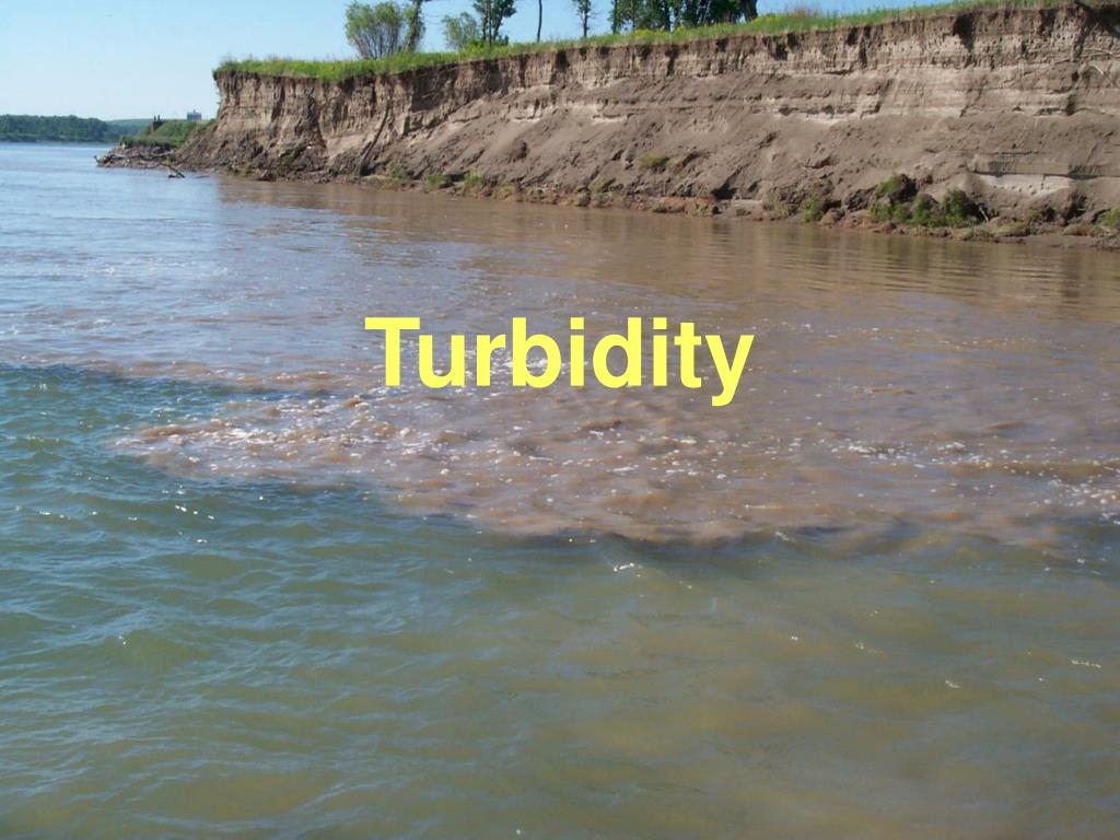 PPT - Turbidity PowerPoint Presentation, free download - ID:776438