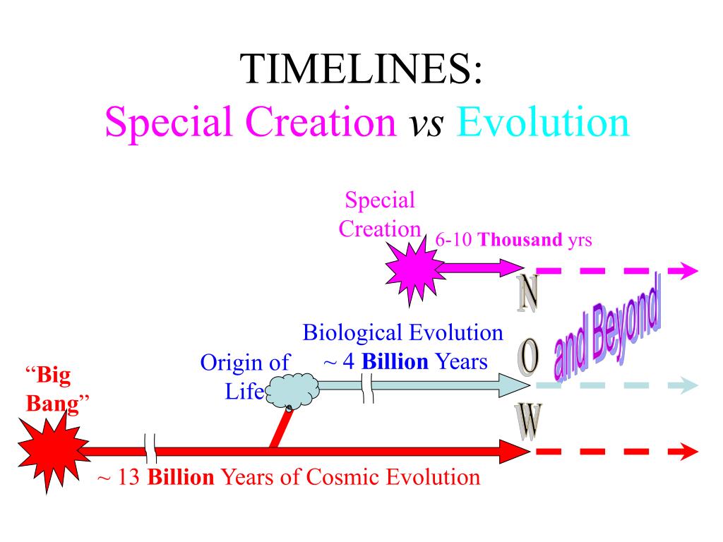 PPT - TIMELINES: Special Creation vs Evolution PowerPoint Presentation ...