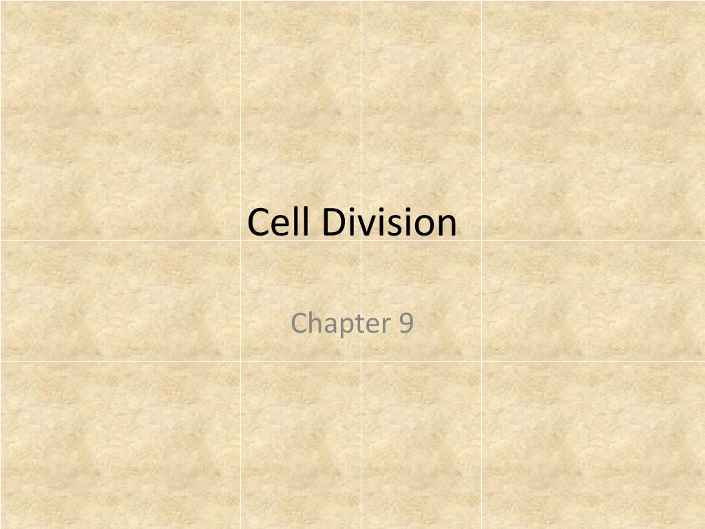 PPT - Cell Division PowerPoint Presentation, free download - ID:779855