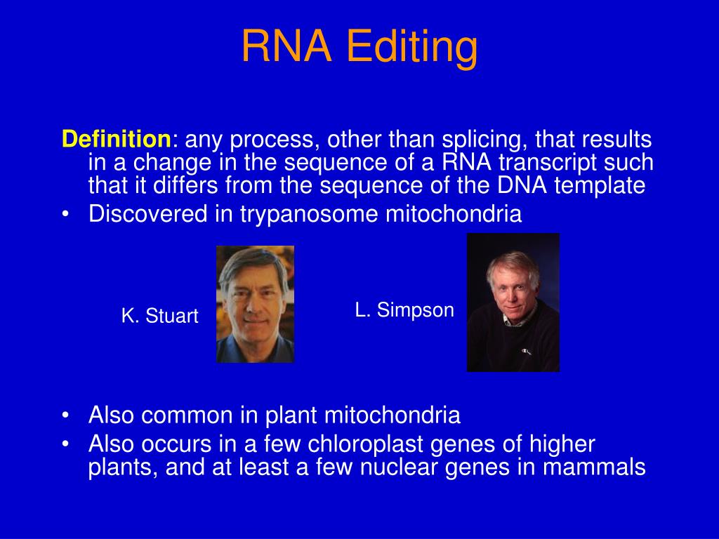 PPT - RNA Editing PowerPoint Presentation, free download - ID:781939