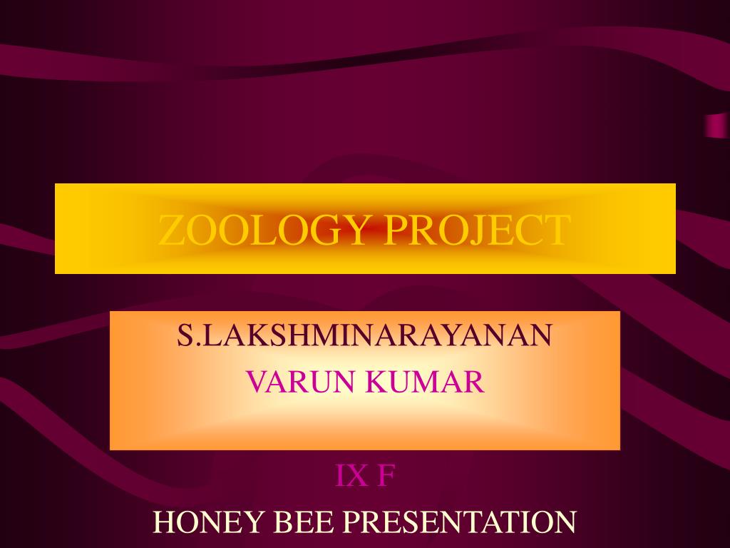 PPT - ZOOLOGY PROJECT PowerPoint Presentation, free download - ID:783181