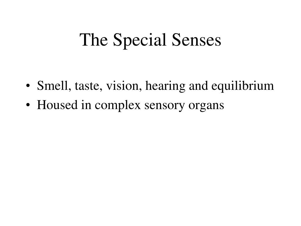 PPT - The Special Senses PowerPoint Presentation, free download - ID:783545