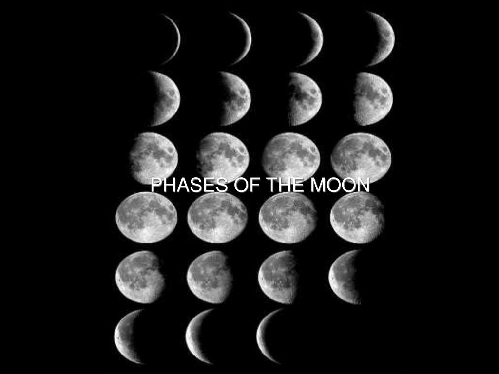 PPT - PHASES OF THE MOON PowerPoint Presentation, free download - ID:786287