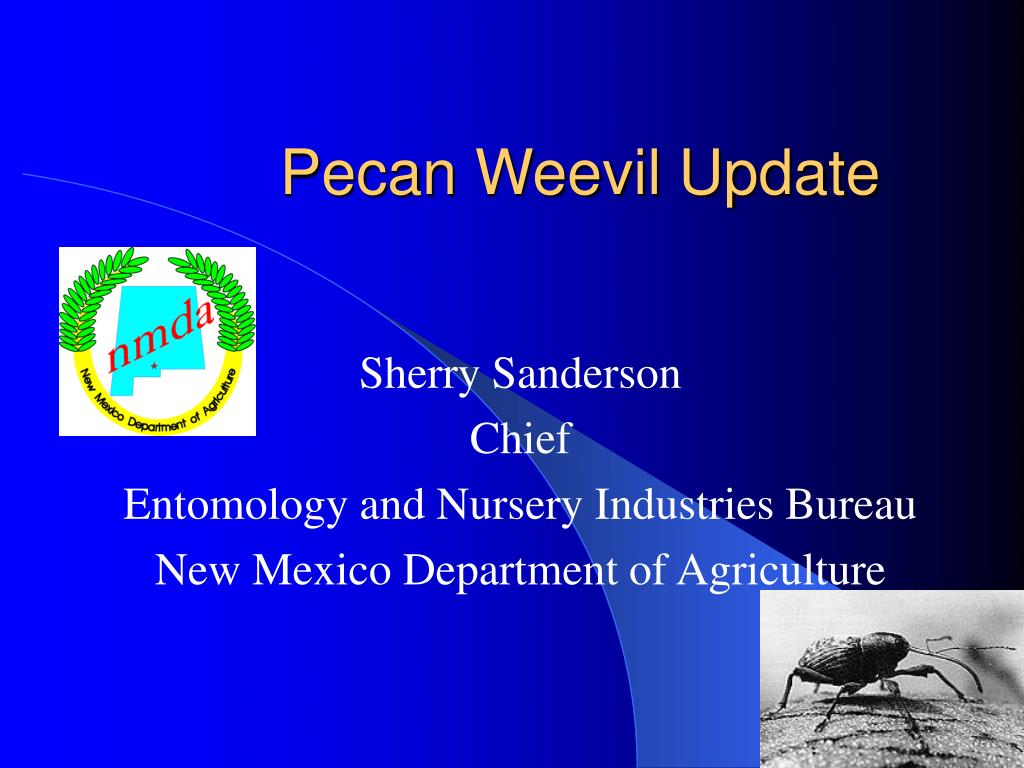 PPT - Pecan Weevil Update PowerPoint Presentation, free download - ID ...
